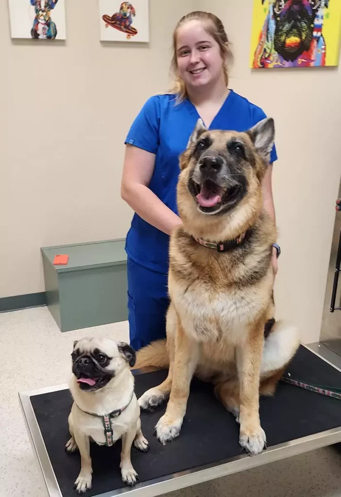 What To Expect / Policies - Animal Ark Animal Hospital